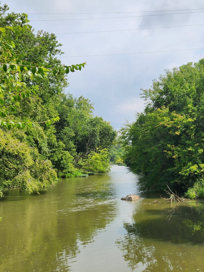 Harry Tuttle, heating engineer (@CinciMike@mstdn.social) - Mastodon 🐘